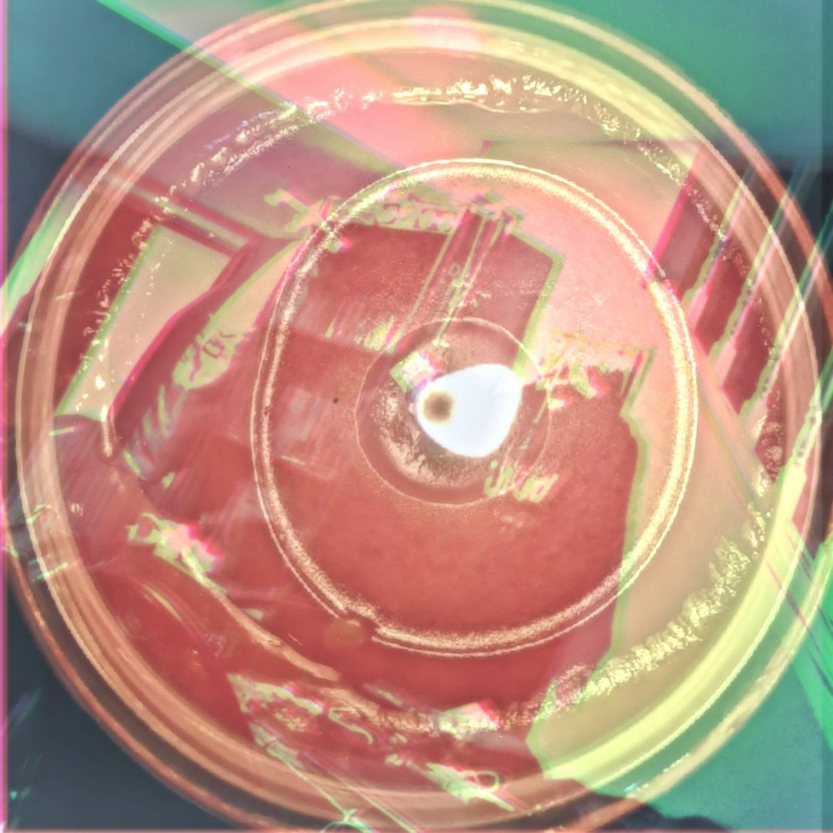 Do Your Worst | Nathan Arsenault