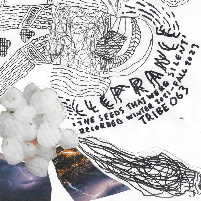The Seeds That Were Silent | Clearance | Tribe Tapes