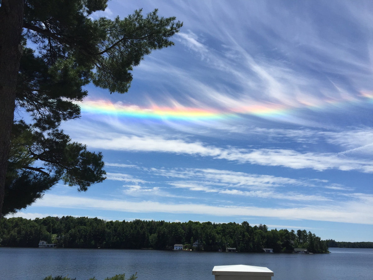 Without You | Clare Ruby