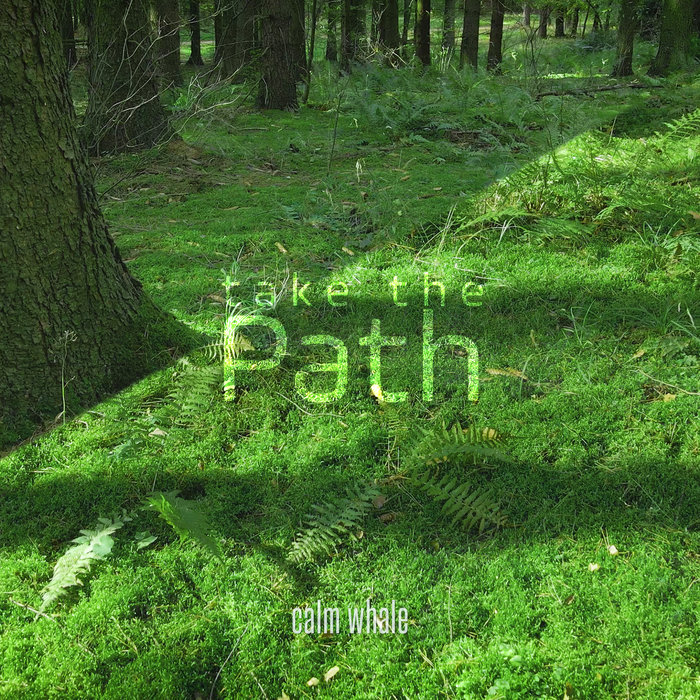 Take the Path | Calm Whale