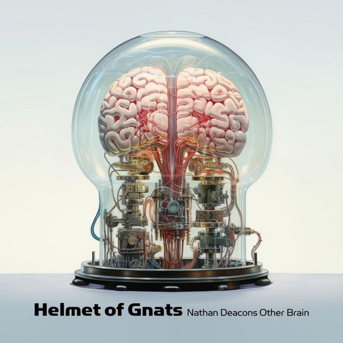 Nathan Deacon's Other Brain | Helmet of Gnats