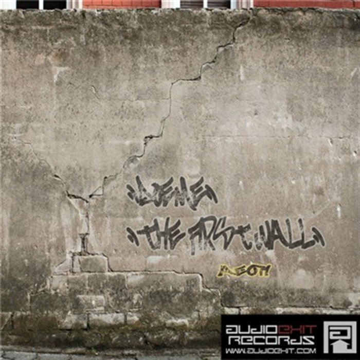 The First Wall | Doeme