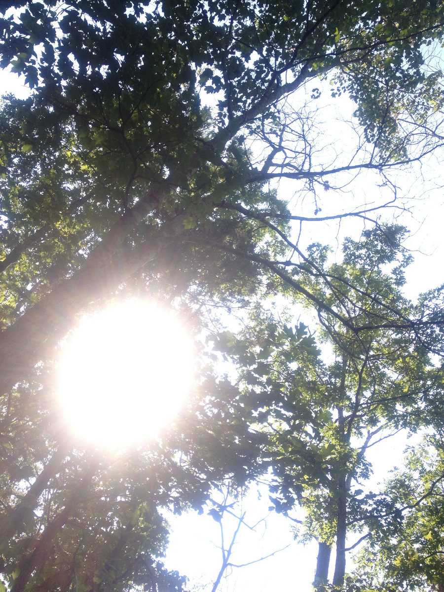 Naturist Freedom Mysterious Camp Inidelan Biolistiobeds