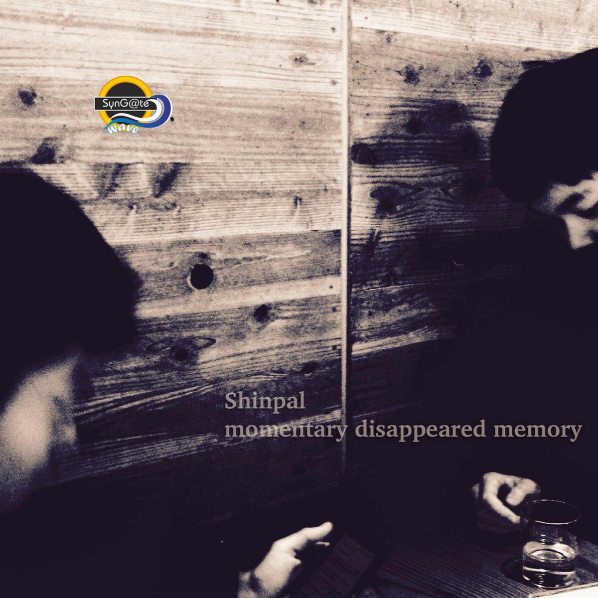 Momentary Disappeared Memory | Shinpal