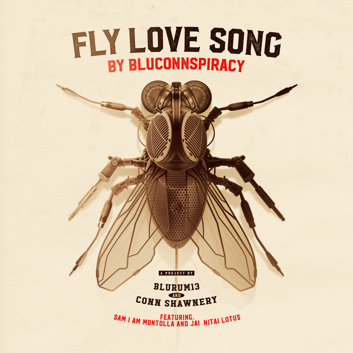 Fly Love Song | BluConnspiracy | BluRum13