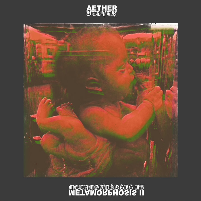 Metamorphosis II | AETHER