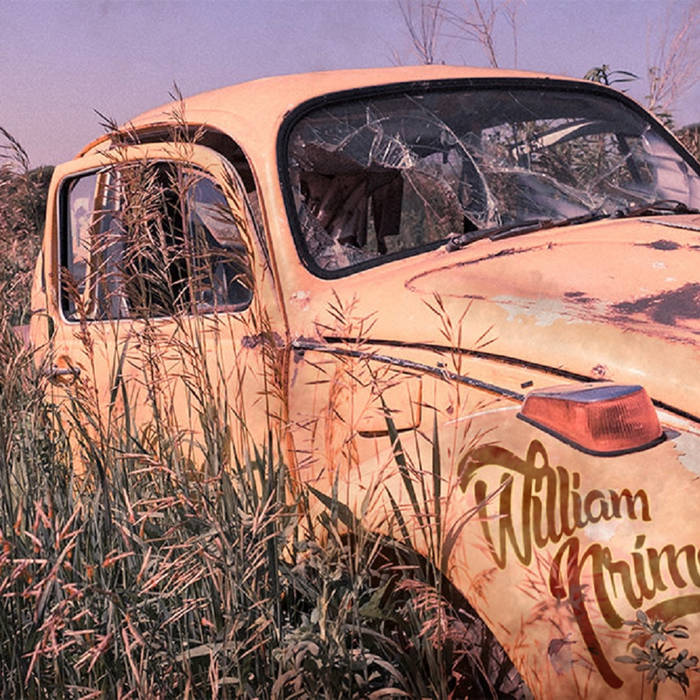 William Prime | William Prime