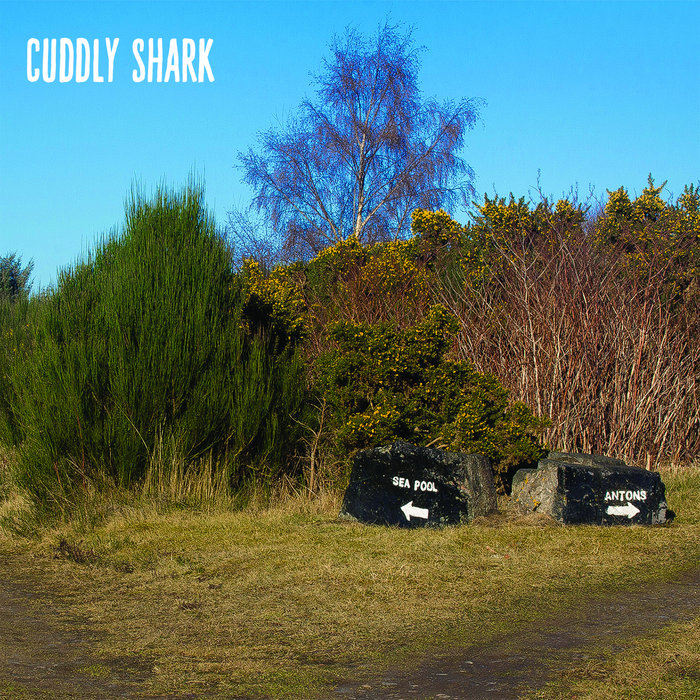 Cuddly Shark | Cuddly Shark