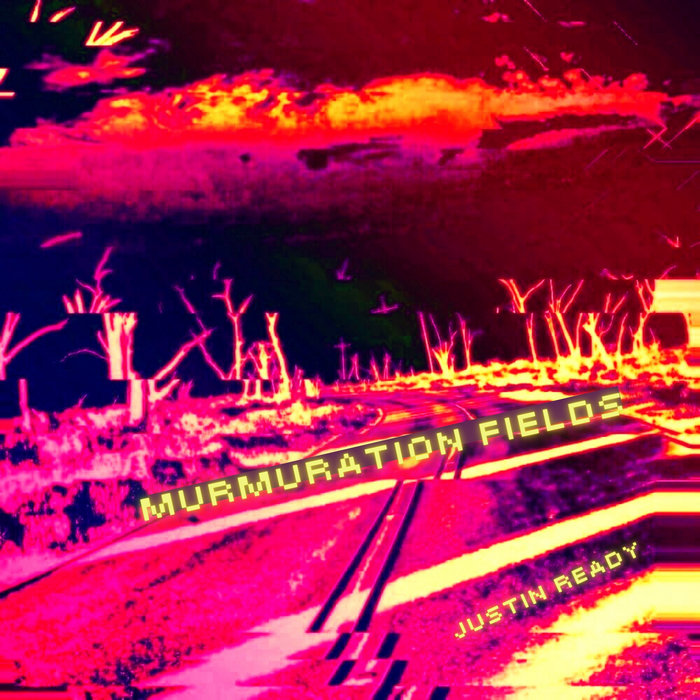 Murmuration Fields | Justin Ready