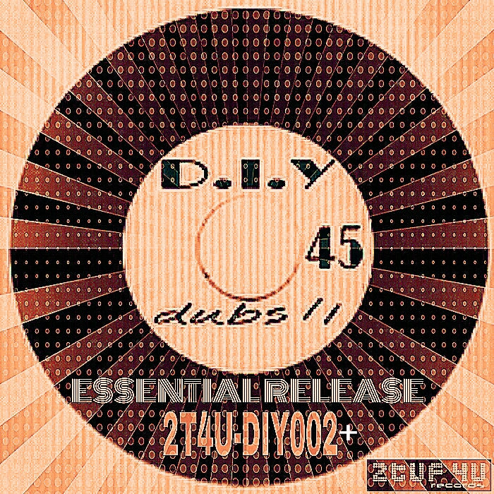 DUBS II (Vintage 45+) | D.I.Y ("Do It Yourself") | 2TUF4U Records