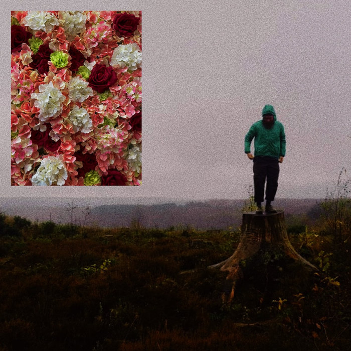 joy jordan | oliver collier