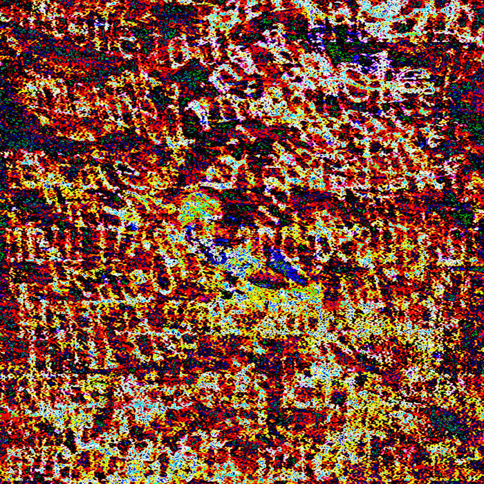 dora smarmy | ifoundcratersonthemoon