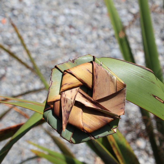 Waiting for Donald Nov 2022 | Robbie Duncan