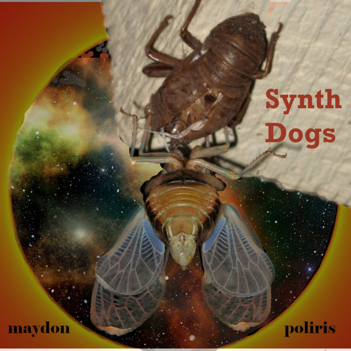 Synth Dogs | maydonpoliris