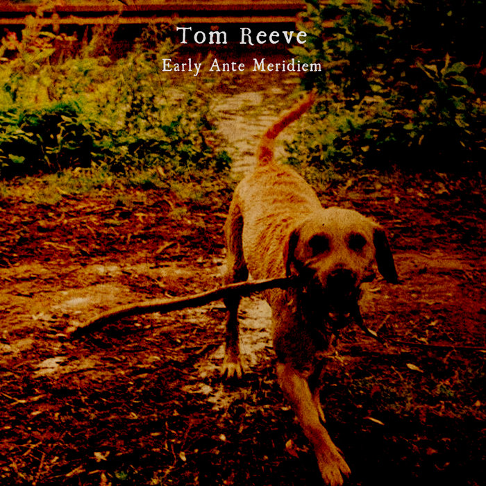 Early Ante Meridiem | Tom Reeve