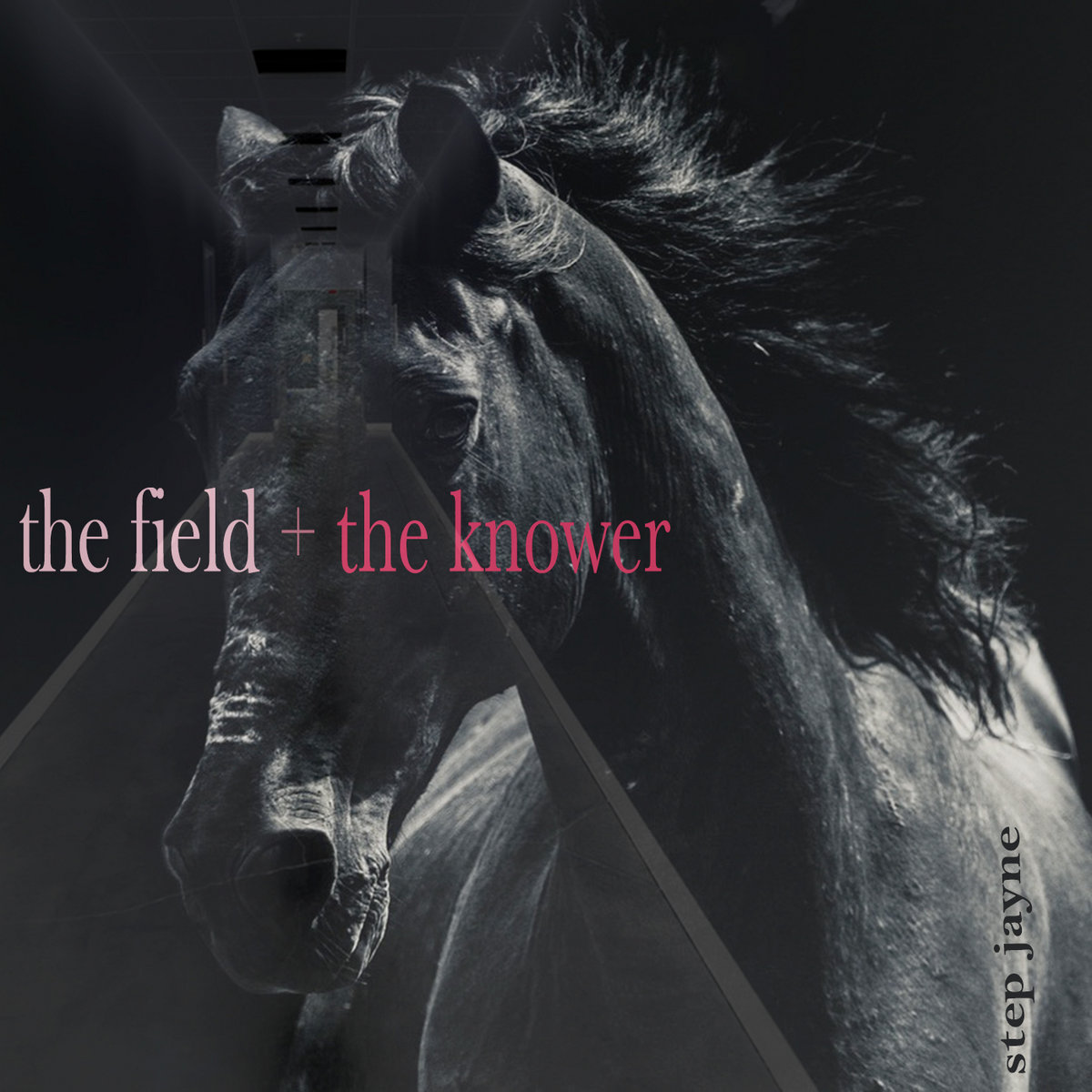The Field + The Knower | Step Jayne