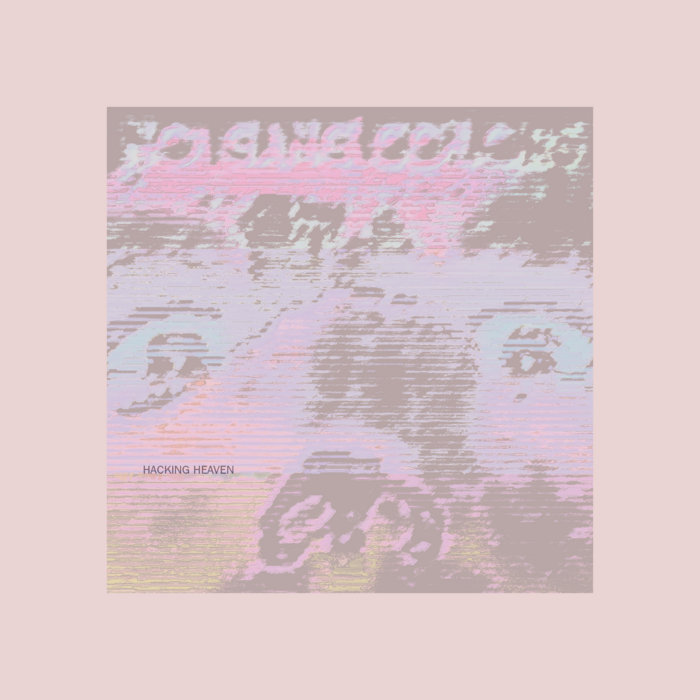 Hacking Heaven | No Gang Colors | Grindcore Karaoke