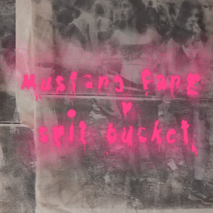 Spit Bucket | Mustang Fang