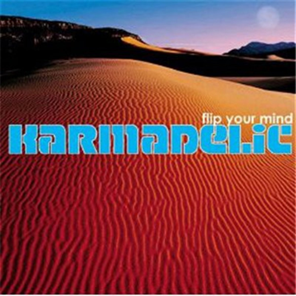 Flip Your Mind | Karmadelic