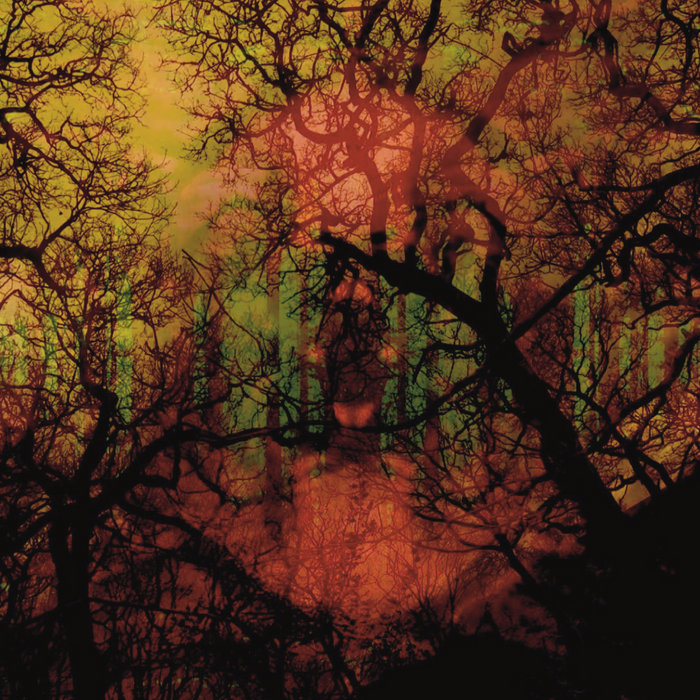 The Path | Alex H Duncan