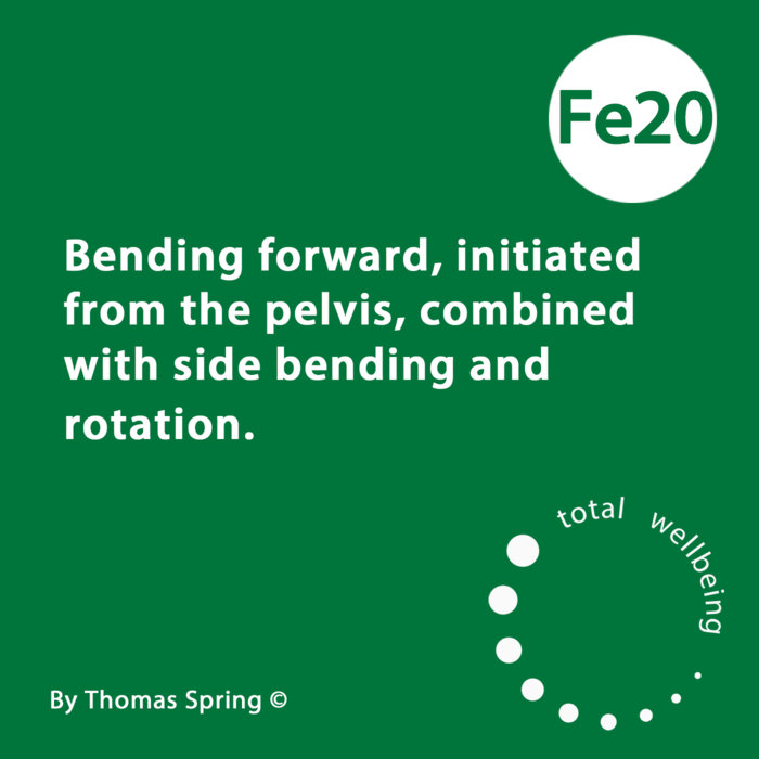 Fe20 Bending forward, initiated from the pelvis, combined with side ...