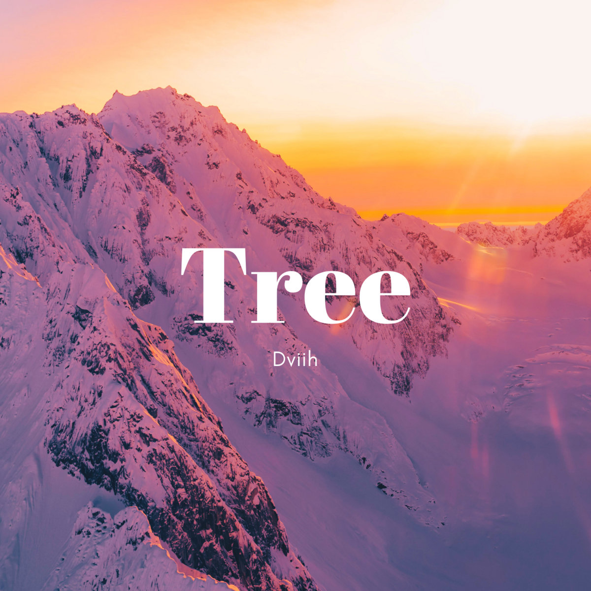 Tree | Dviih