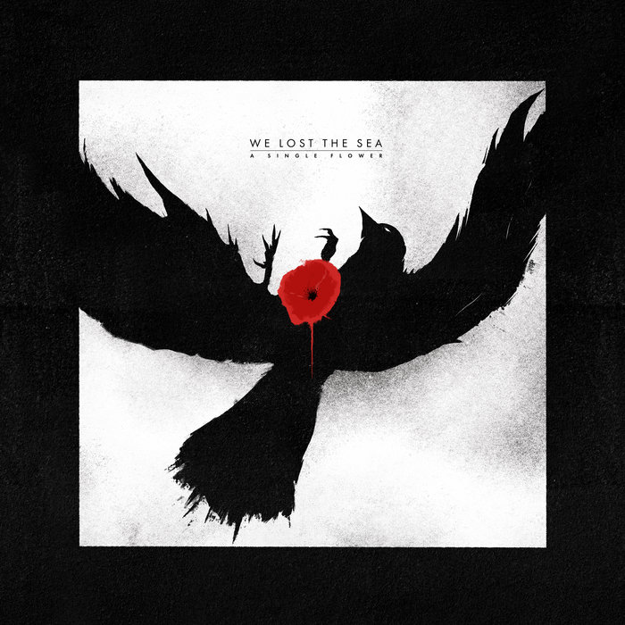 A Single Flower | We Lost The Sea
