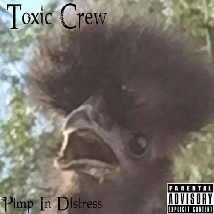 Pimp In Distress | Toxic Crew