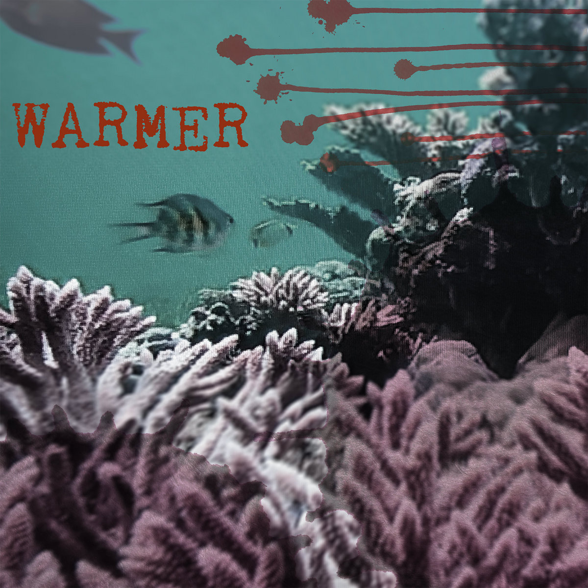 Fishes Swim and Corals Grow / Moon Cries | Warmer | John Encarnacao