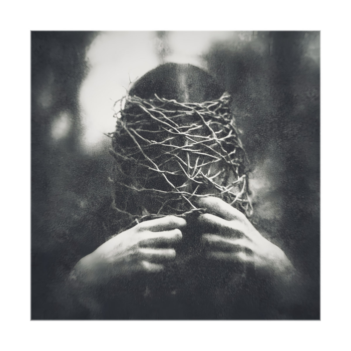 Acedia | Martikor | Fiadh Productions