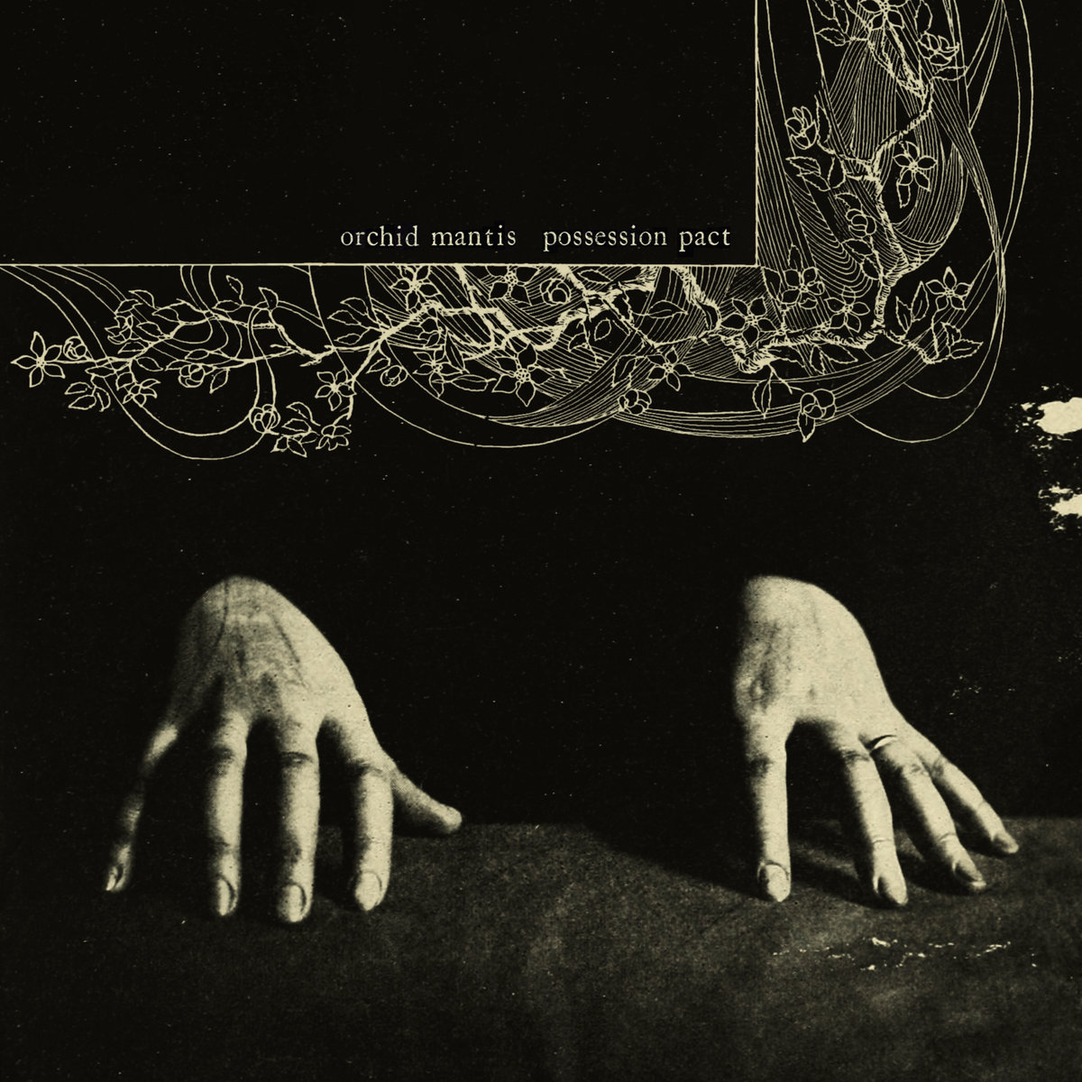 Possession Pact | orchid mantis