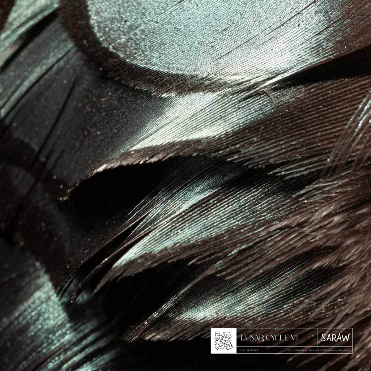 Yuuki Hori - Bass Side | Saraw