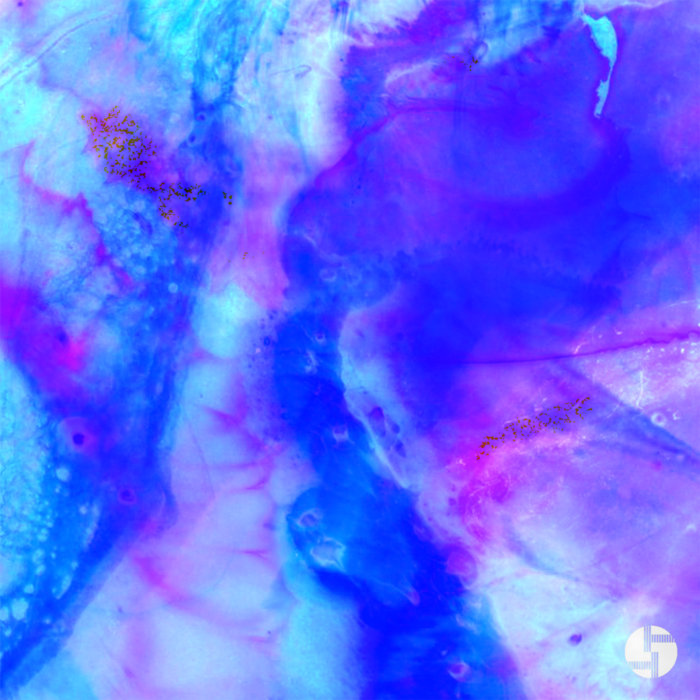 Selfish | B:Thorough