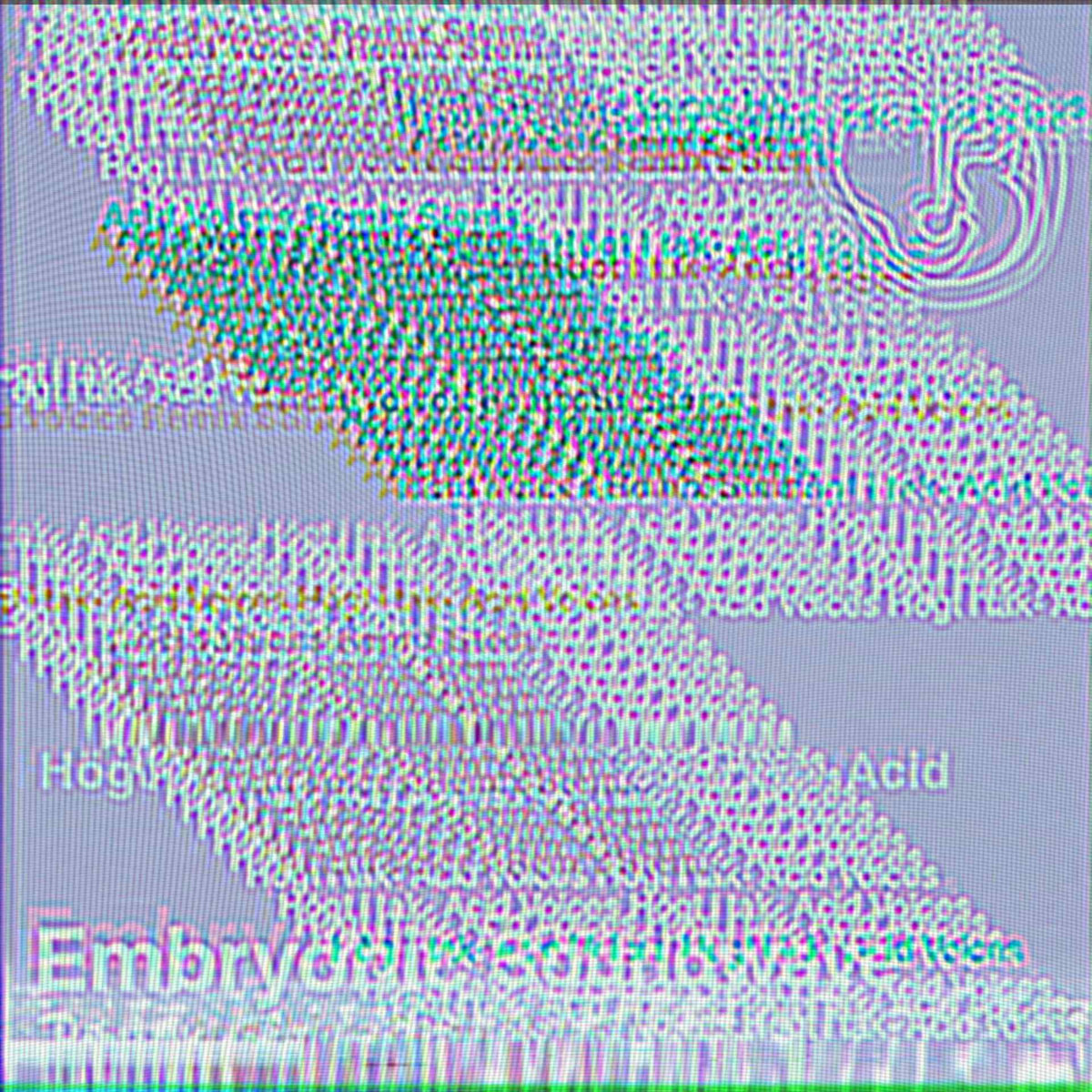 Hogt I Tak- Acid Voices Stems | Hogt I Tak | Embryonic Soundwave