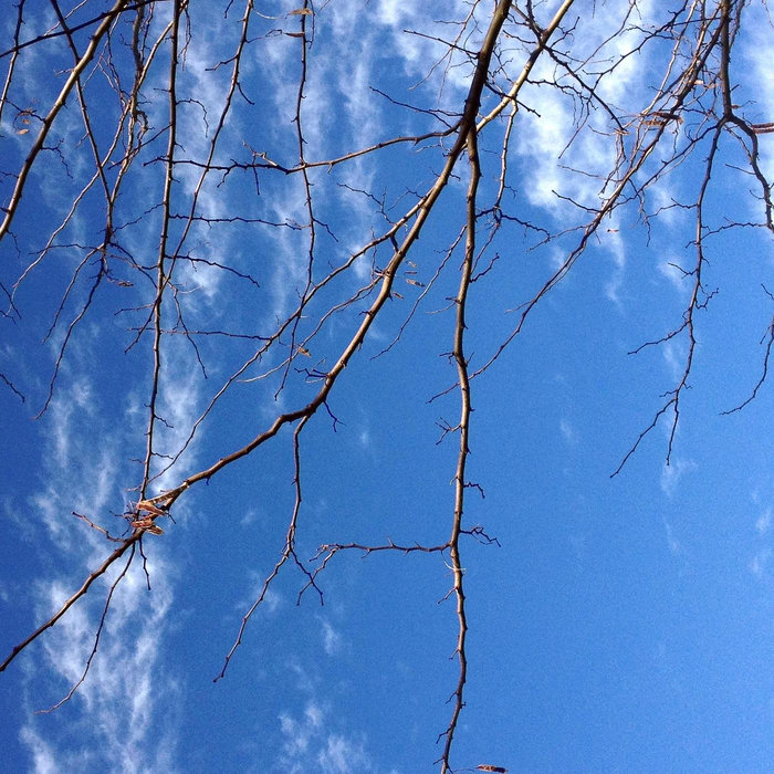 Messages | Duo H-H | Carlos Adriano Herrera