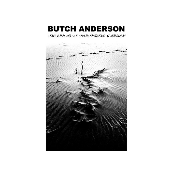 Instrument Torturing Garden | Butch Anderson