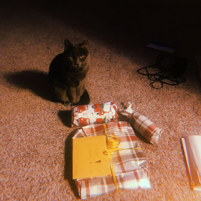 No Time | Ray Everly