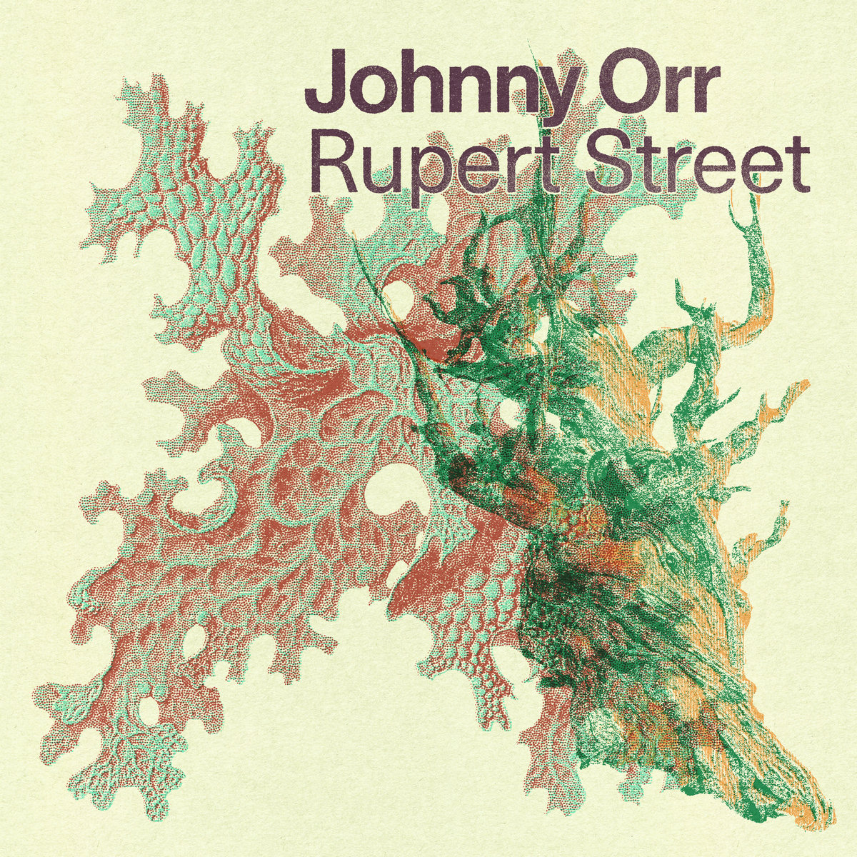 Rupert Street | Johnny Orr