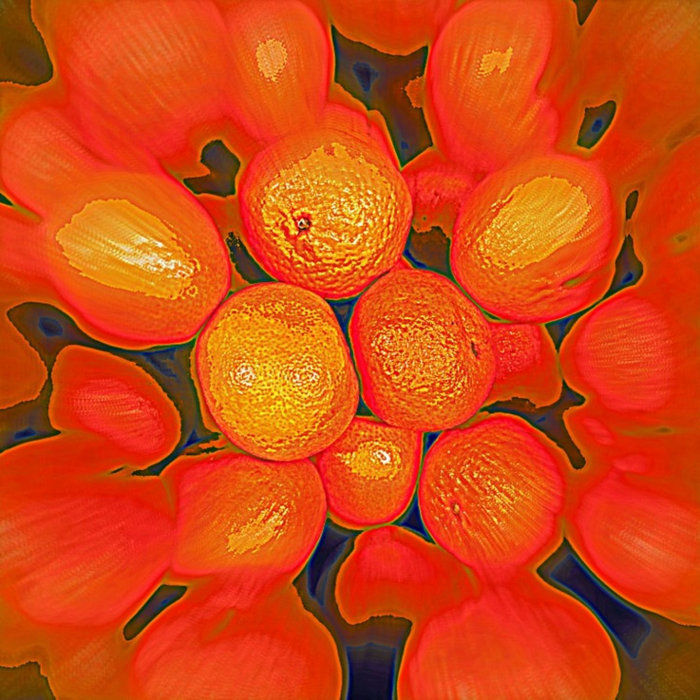 A Tribute to Tangerine Dream | Network 23