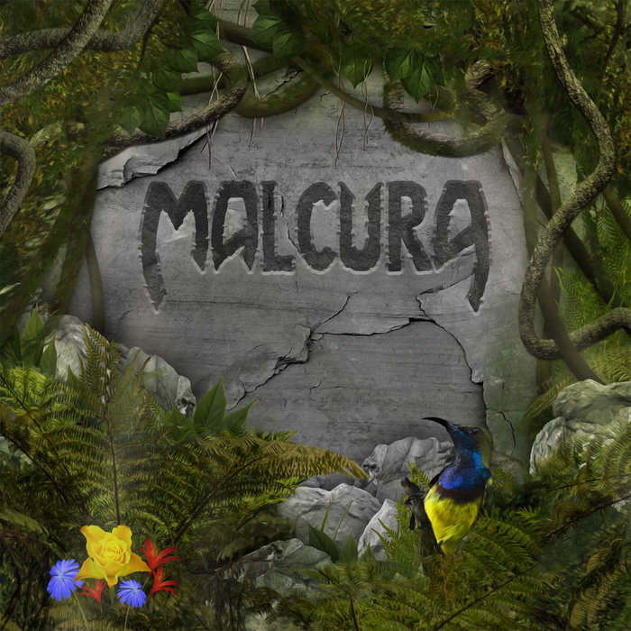 Malcura | Malcura