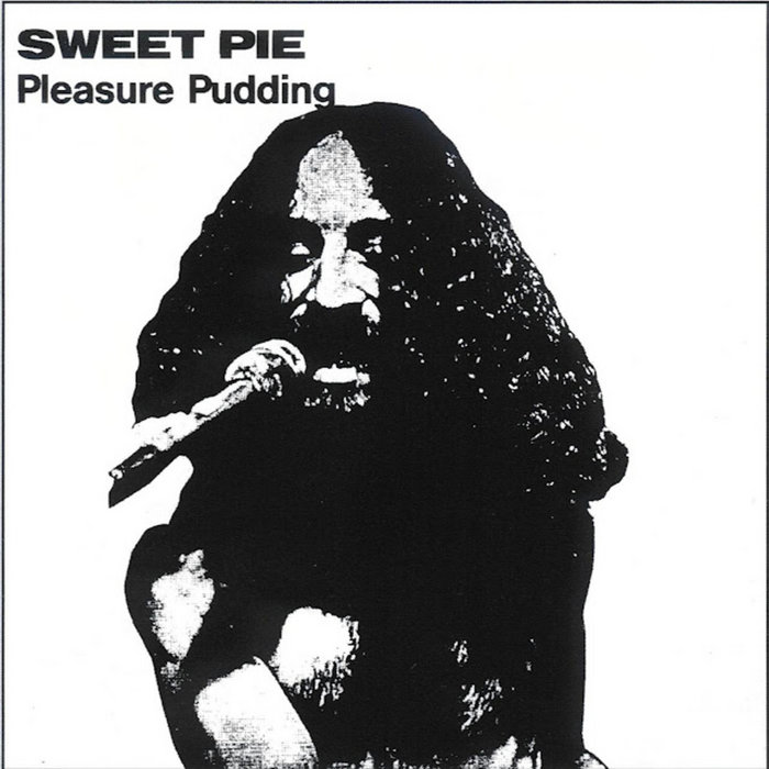 Pleasure Pudding Sweet Pie pleasure-pudding-sweet-pie
