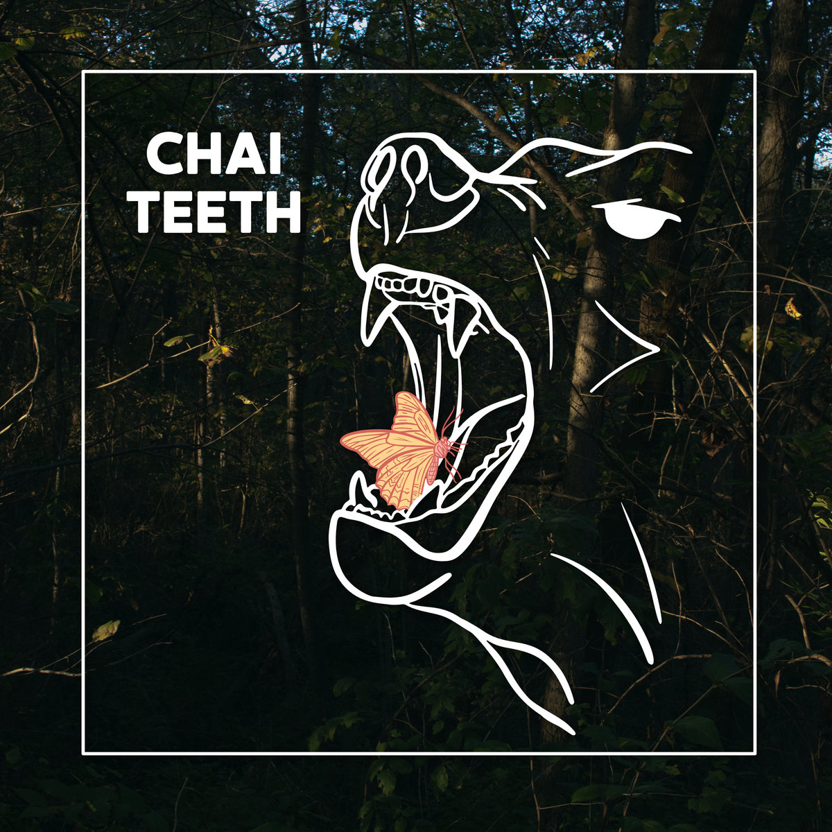 Really Big Bear | Chai Teeth