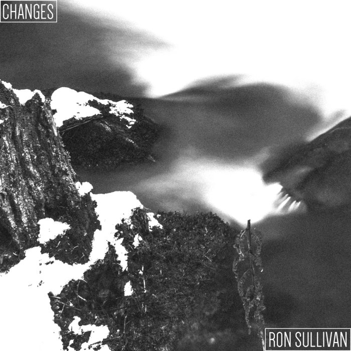 Changes | Ron Sullivan