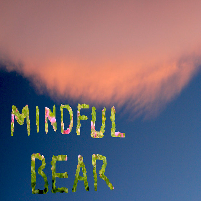 demos | Mindful Bear