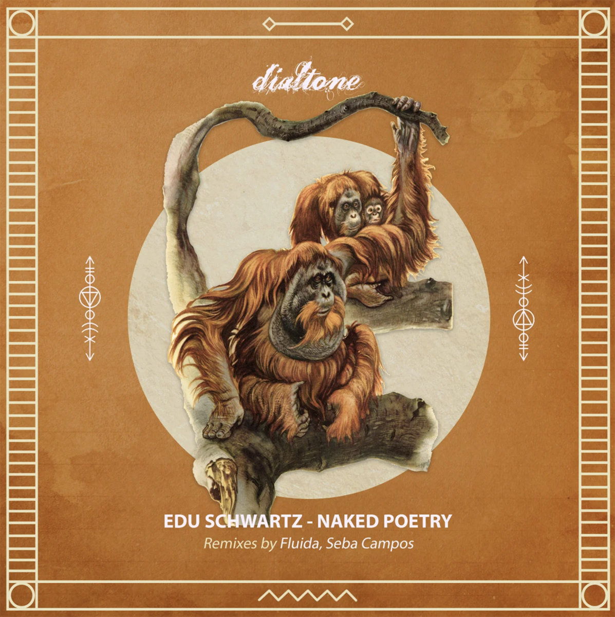 Naked Poetry | Edu Schwartz | Dialtone Records