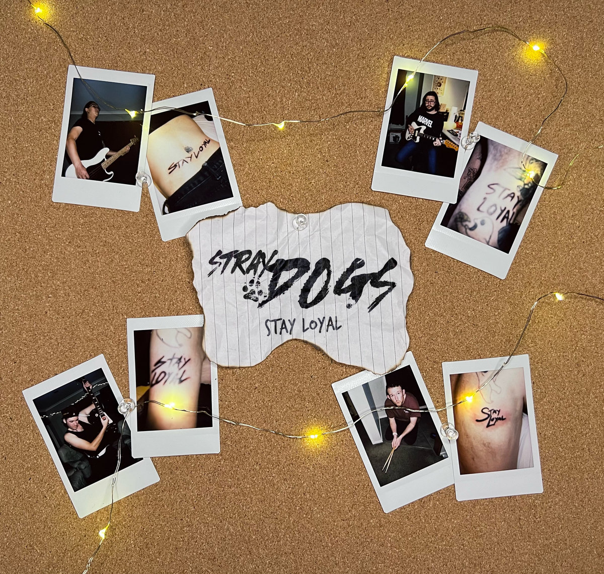 Stay Loyal | Stray Dogs