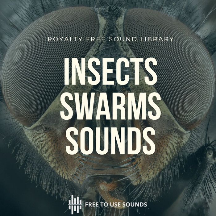 Insects & Swarms | Insects Sound Effects | freetousesounds