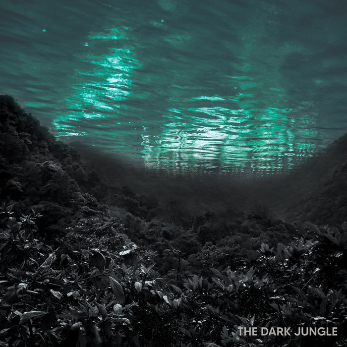 The Dark Jungle | Rogério Francisco