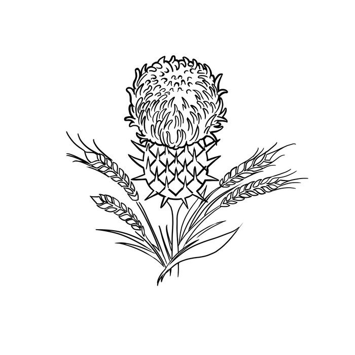 Thistledew | Halen Joe Eckman & the Thistledew 2