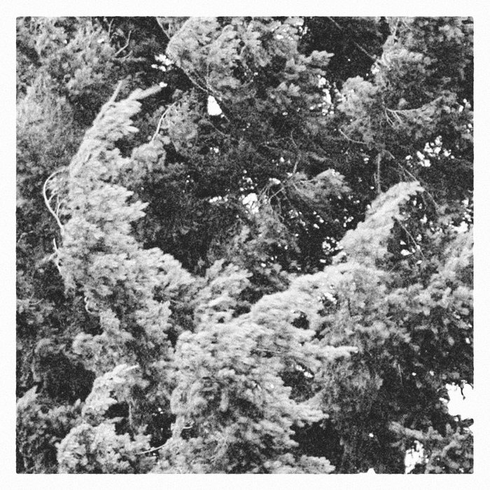 Wind Studies | Sound Studies